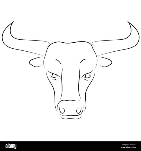 Bull Drawing