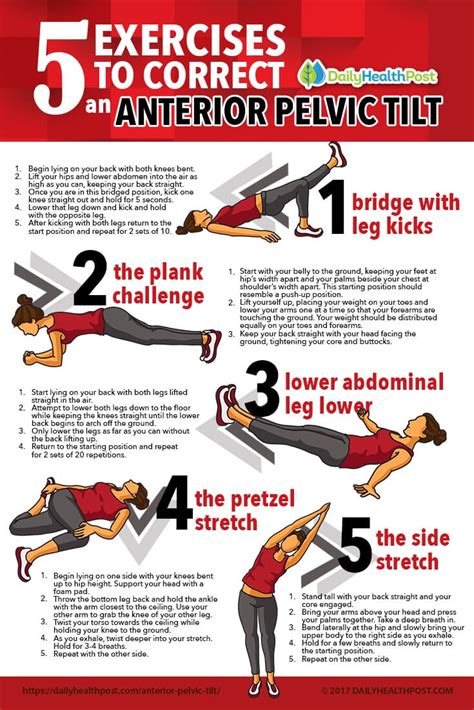 5 Exercises To Correct An Anterior Pelvic Tilt Live Love Fruit