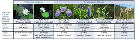 Wetlands Plants List Species — Wetland Plants Inc