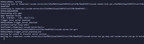 Vscode的remotessh连接失败(waiting For Downloading Vs Code Server和一直输出waiting For Server Log) Cbus Vscode的remotessh连接失败(waiting For Downloading Vs Code Server和一直输出waiting For Server Log) Cbus