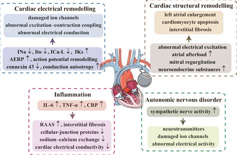 Advances In Clinical And Experimental Medicine