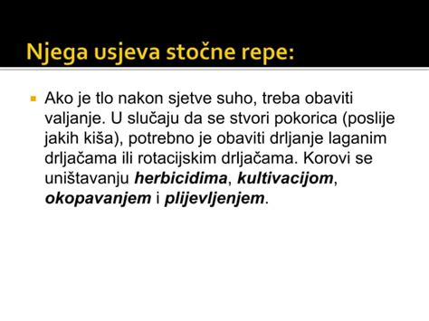 Stočna Repa Ppt