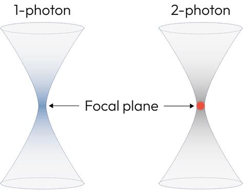 2 Photon Polymerization Upnano High Resolution 3d Printing