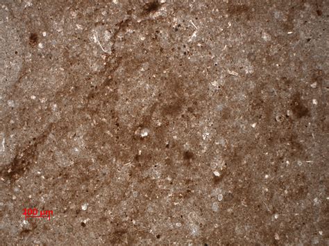 Red Marly Limestone Florence Rockinart