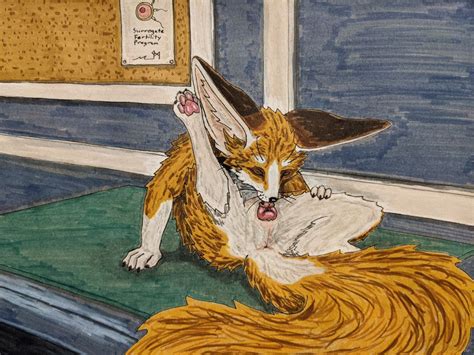 Rule 34 43 Anatomically Correct Anatomically Correct Genitalia