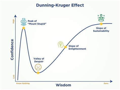 What Is The Dunning Kruger Effect And 4 Important Strategies To