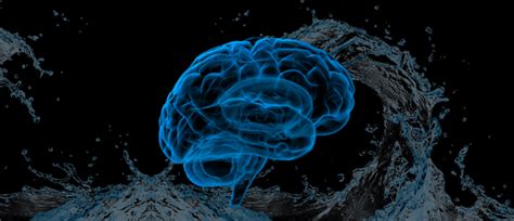 Cerebrospinal Fluid Dynamics In The Brain Neuro Central