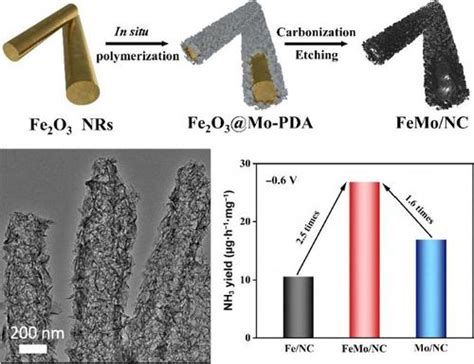 Coupling Fe And Mo Single Atoms On Hierarchical N Doped Carbon Nanotubes Enhances