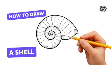 Shell Drawing Easy