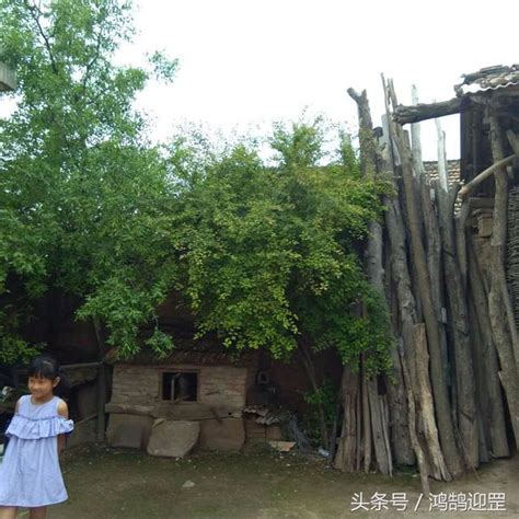红色旅游景区——旬邑县马栏镇随拍 每日头条