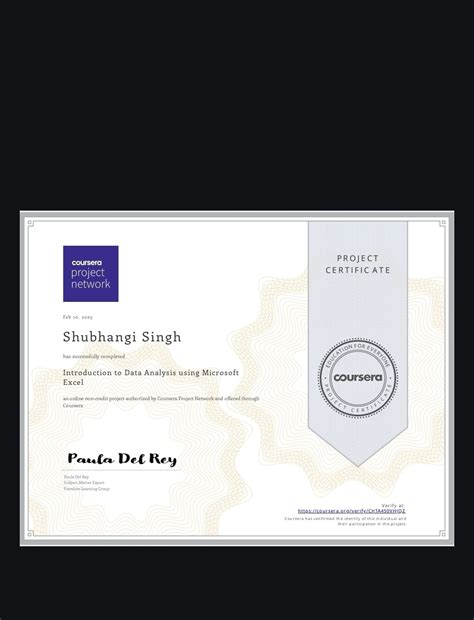 Dataanalysis Excel Lifelonglearning Coursera Upskilling