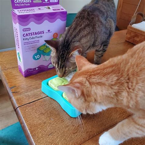 Catstages Interactive Kitty Cube And Treat Puzzle Toy