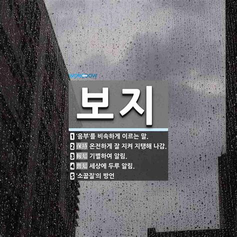 보지 뜻 음부를 비속하게 이르는 말 온전하게 잘 지켜 지탱해 나감 기별하여 알림 세상 국어 사전