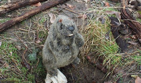 Tinicum Tim Philadelphia Pennsylvania