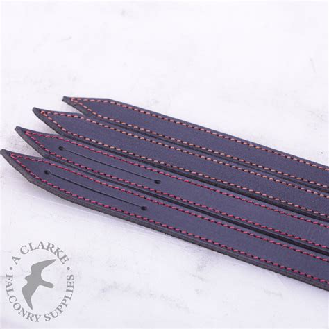 Bespoke Eagle Jesses On The Bench Last Week A Clarke Falconry England