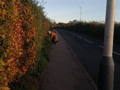 Untitled Simon Marshall Flickr