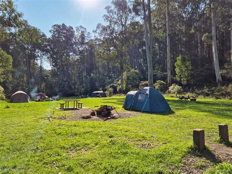 A Review Of Mortimer Camping And Picnic Area Travelling Tam