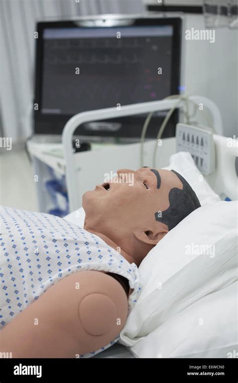 Simulateur De Soins Infirmiers Banque De Photographies Et Dimages à Haute Résolution Alamy
