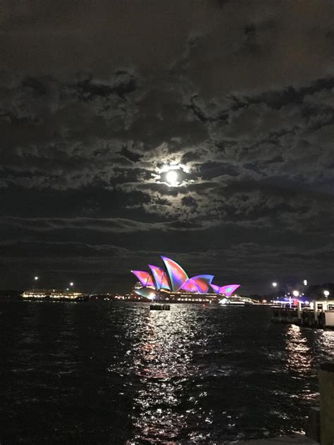 Tom Lambert On Linkedin Walking From One Accessible Viewing Area Of Vivid Sydney To The Other I…