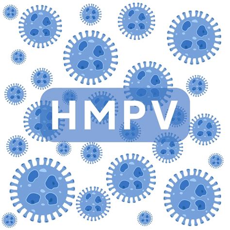 Hmpv Virus Banner And Human Metapneumovirus Respiratory Virus Vector