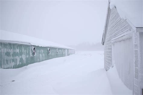 Exploring Beyond The Traditional Csa Model