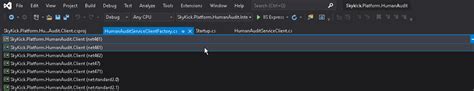 Allow Choosing The Target Framework Issue Dotnet Vscode Csharp GitHub