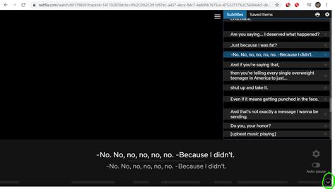 How Do I Make Lln Subtitles Appear In A Subwindow In English