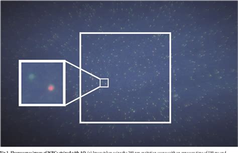 Figure 1 From Simple Ultraviolet Microscope Using Off The Shelf