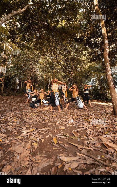 Balinese Dancers With Golden Costumes And Stripped Pants Dance Together With The Dead Brown