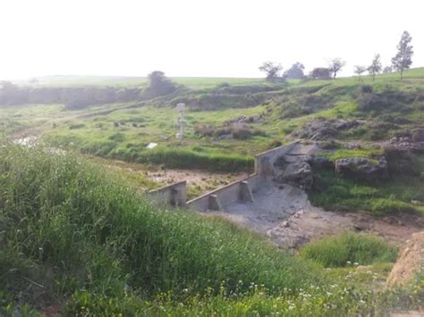 Best Hikes And Trails In Beeri Forest Alltrails