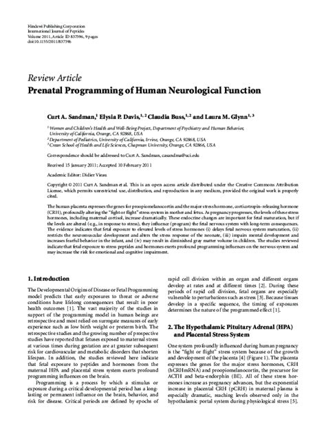 Pdf Prenatal Programming Of Human Neurological Function