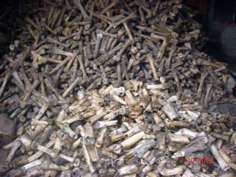 Cattle Dried Bone Chips At Rs 38bag Dehydrated Potato Chip In