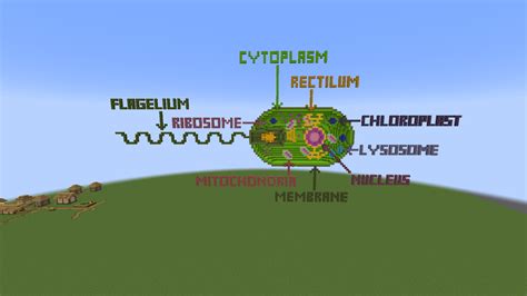 I Made A Protist Cell R Minecraftbuilds