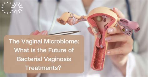 The Vaginal Microbiome Bacterial Vaginosis What We Know ️bacterial