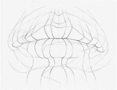 Facial Features Cross Contour Mouth Sketch Sketches Contour Drawing