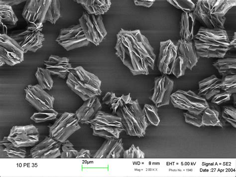 Scientific Image Sem Image Of Polyethylene Plastic Nise Network