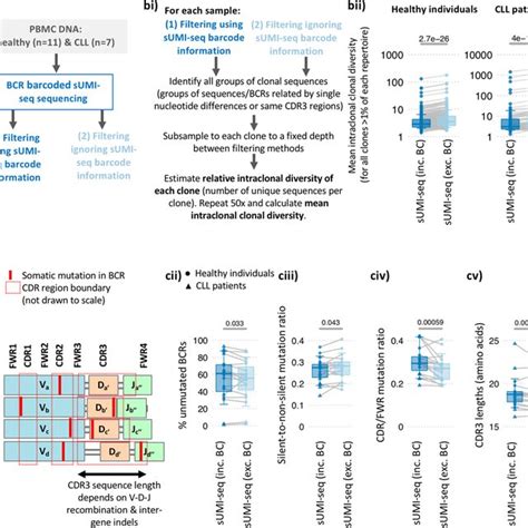 Bcr Repertoire Sequencing By Sumi Seq Pcr A Schematic Diagram Of