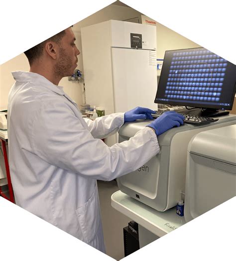 Services De Transcriptomique Spatiale Firalis Molecular Precision