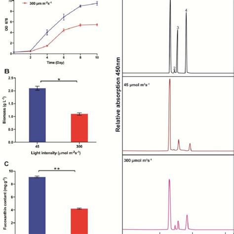 Growth And Xanthophyll Identification Of Wild Type P Tricortutum