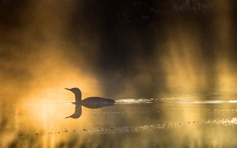 Home Beyerflightsciences