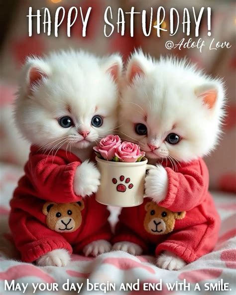 Discover 100 Saturday And Good Morning Saturday Ideas In 2025 Happy Saturday Saturday