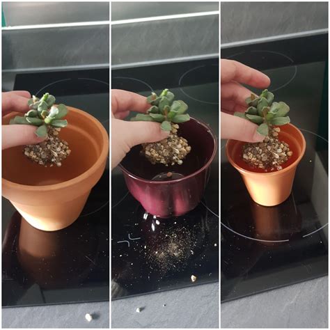 Pot Sizes Album On Imgur