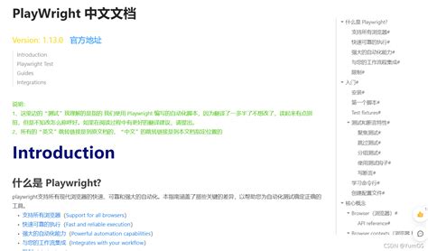 playwright js ts 中文文档 playwright中文文档 csdn博客