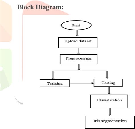 Figure 1 From Iris Based Human Identity Recognition With Deep Learning Methods Semantic Scholar