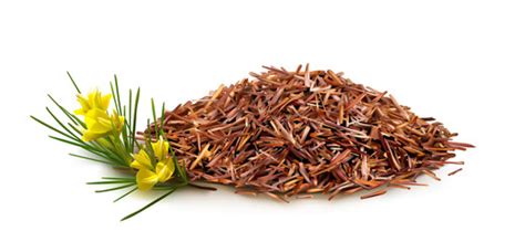 Rooibos Powder Extract Cape Trade Portal