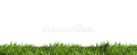 Grass Layer Stock Image Image Of Field Spring Texture 15167393