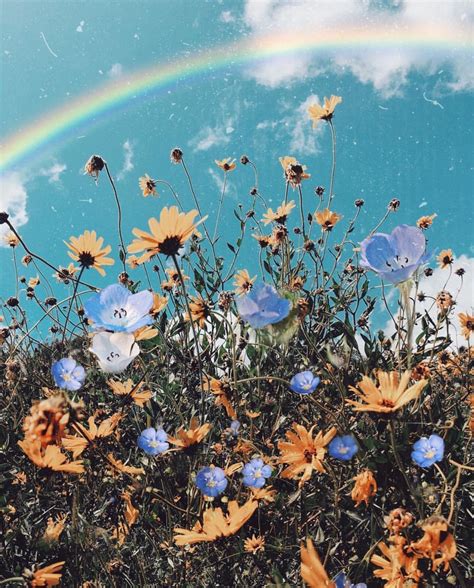 Aesthetic Wallpaper Flower Aesthetic Flower Desktop Wallpapers Hpcnob