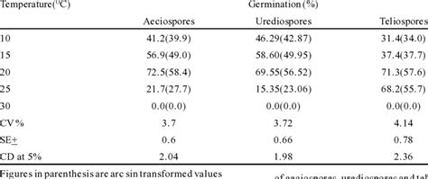 Effect Of Temperature On Uromyces Viciae Fabae Spore Germination Download Scientific Diagram