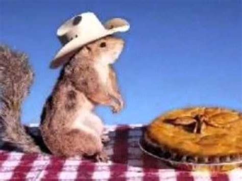 Spongbob Square Pants Sandy Texas Song Youtube
