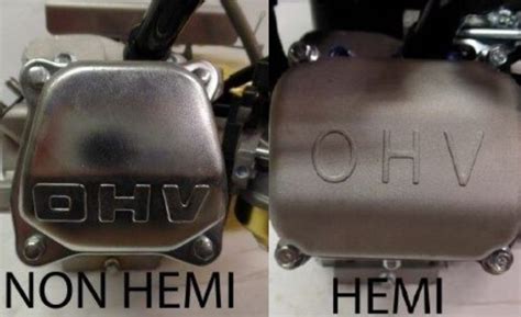 Hemi Vs Non Hemi Best Guide And Top Review Bebefits